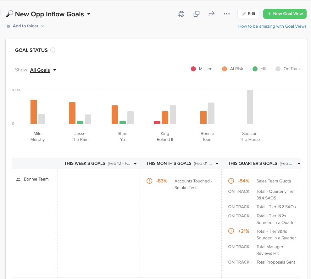 Custom Goal Views – Atrium